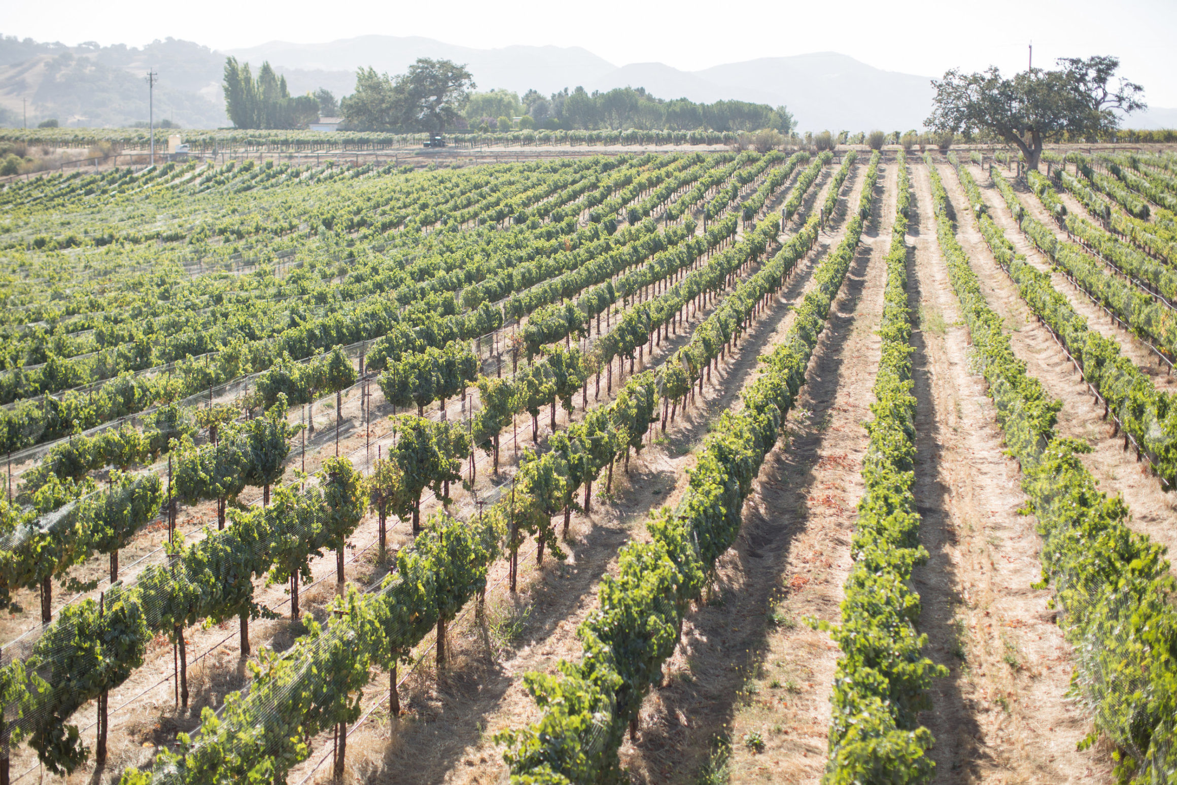 Renting Sunstone Villa - A Keene Sense of Style